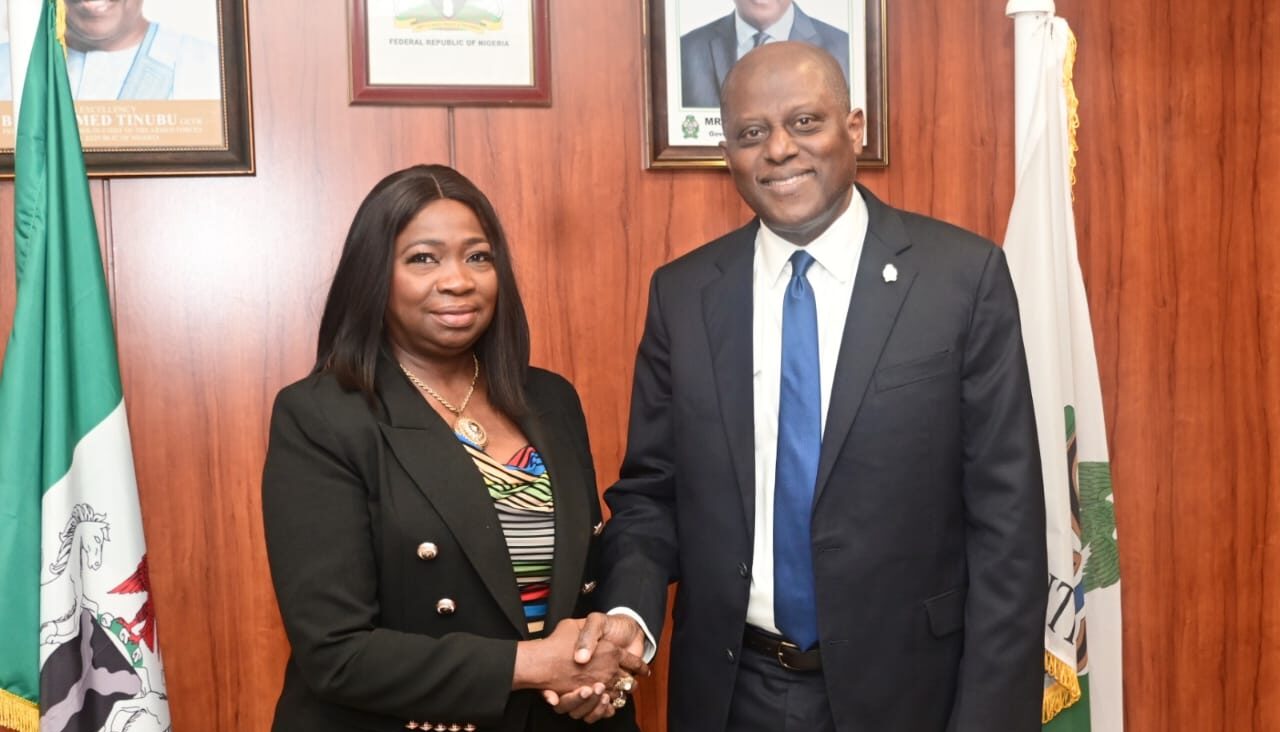 NIDCOM: $600 million month-to-month diaspora remittances sign success ...